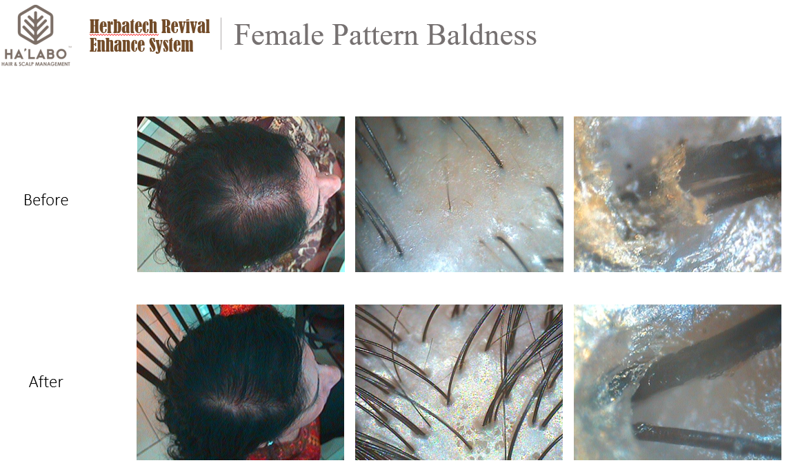 Your 1st Journey with Ha’Labo – Halabo e-store