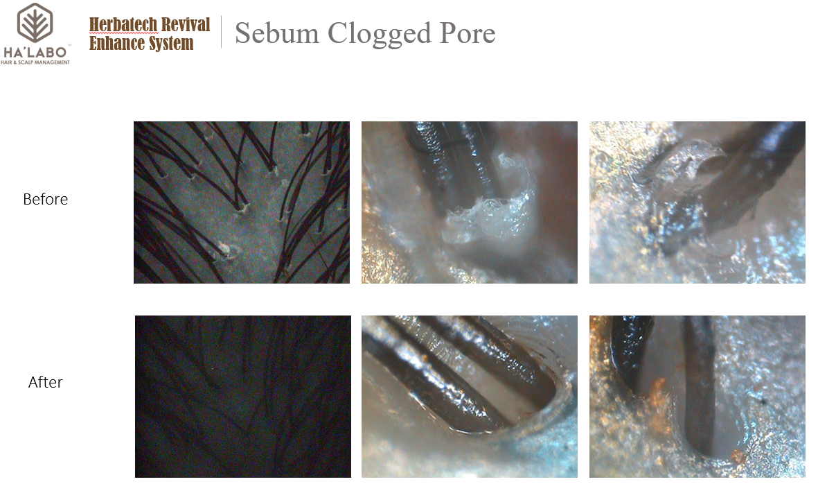 Your 1st Journey with Ha’Labo – Halabo e-store